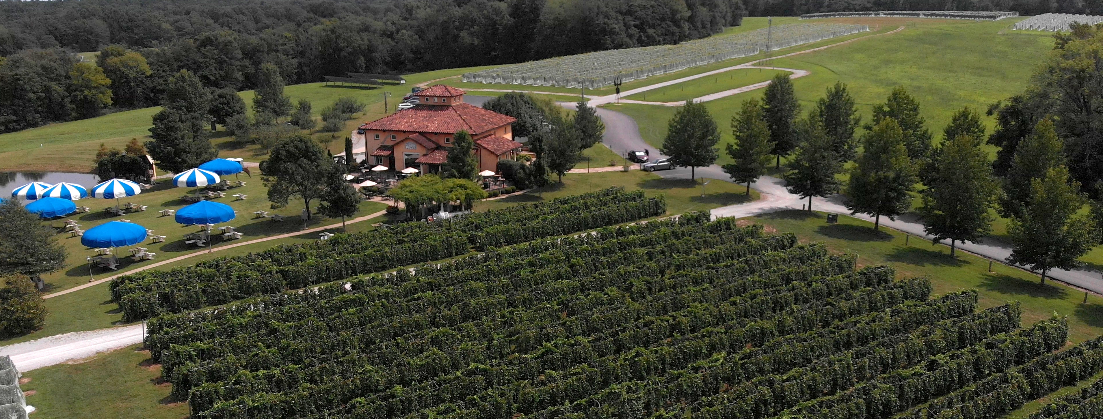 Blue Sky Vineyard - Southern Illinois Winery